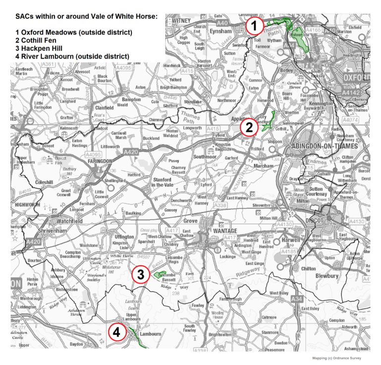 Designated Sites and Habitats Regulations Assessment - Vale of White ...
